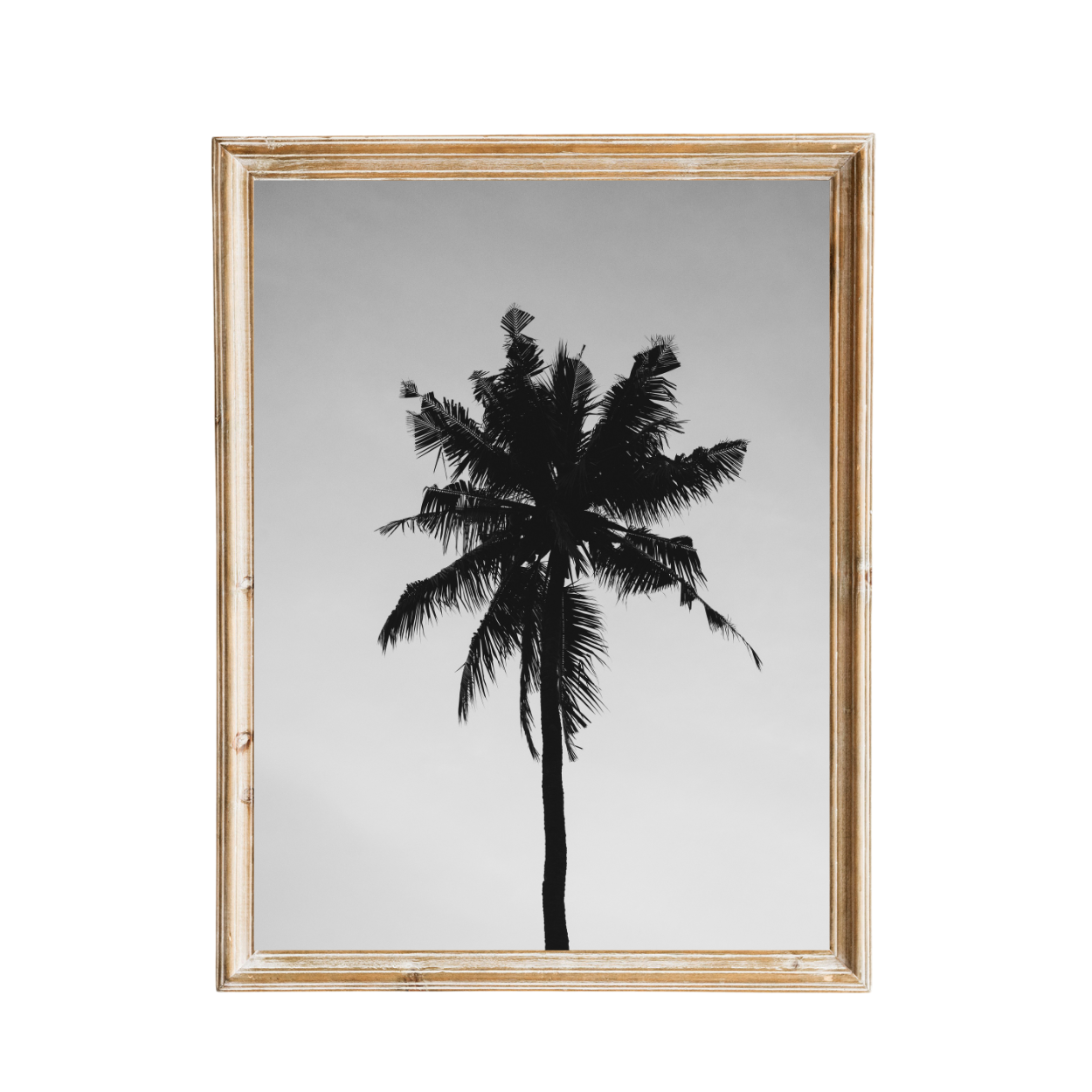 Palm Print – Nursery Decor Co